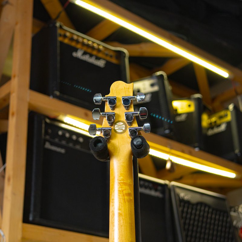 گیتار الکتریک سَمیک Samick Greg Bennett Interceptor IC-2 Electric ...